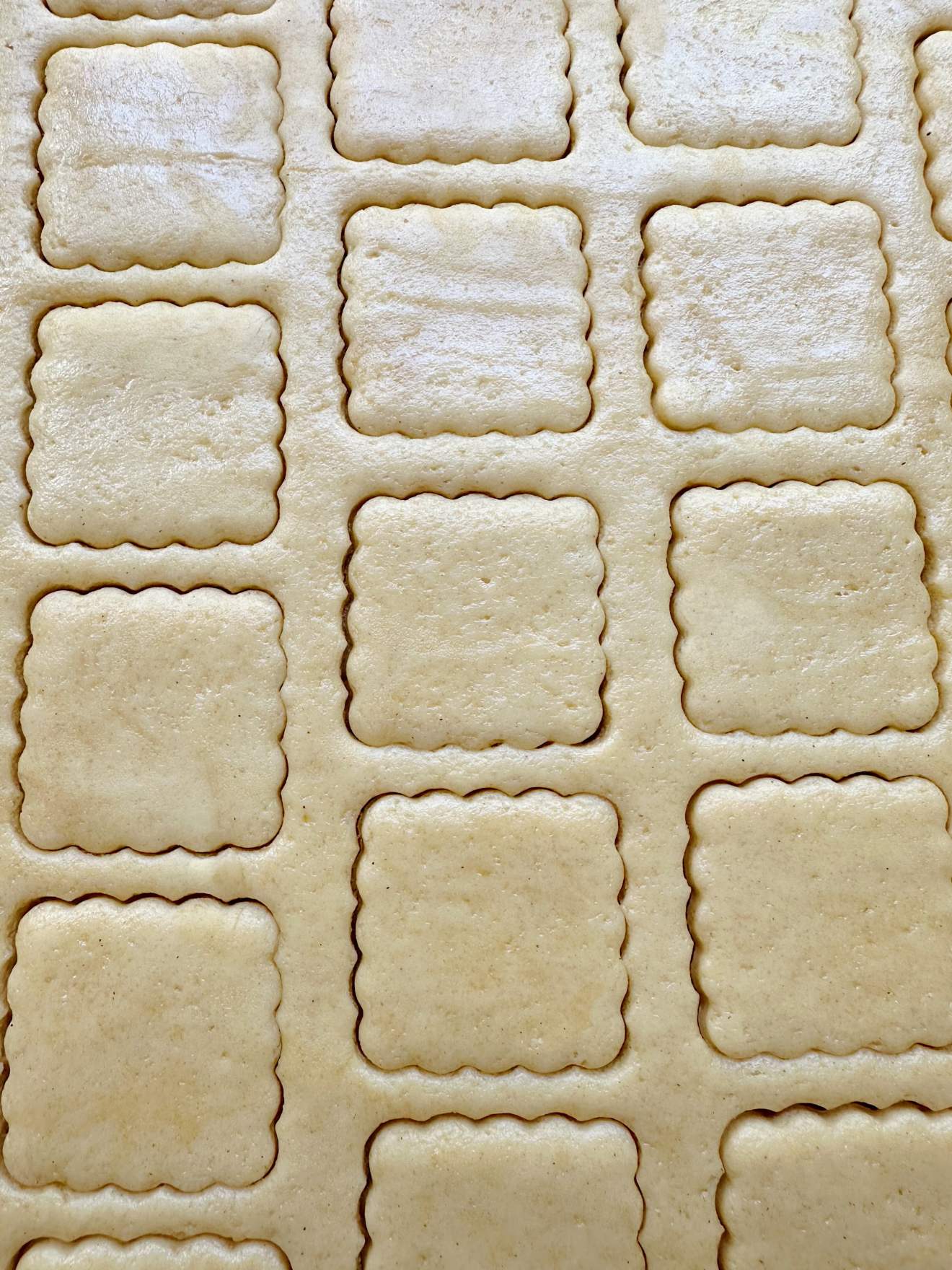 Easy Vegan Brown Sugar Shortbread Cookies